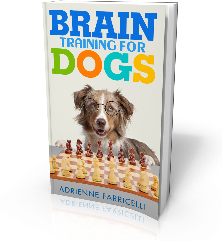No More Bowl: Top 5 Best Dog Feeder Toys - Brain Training for Dogs