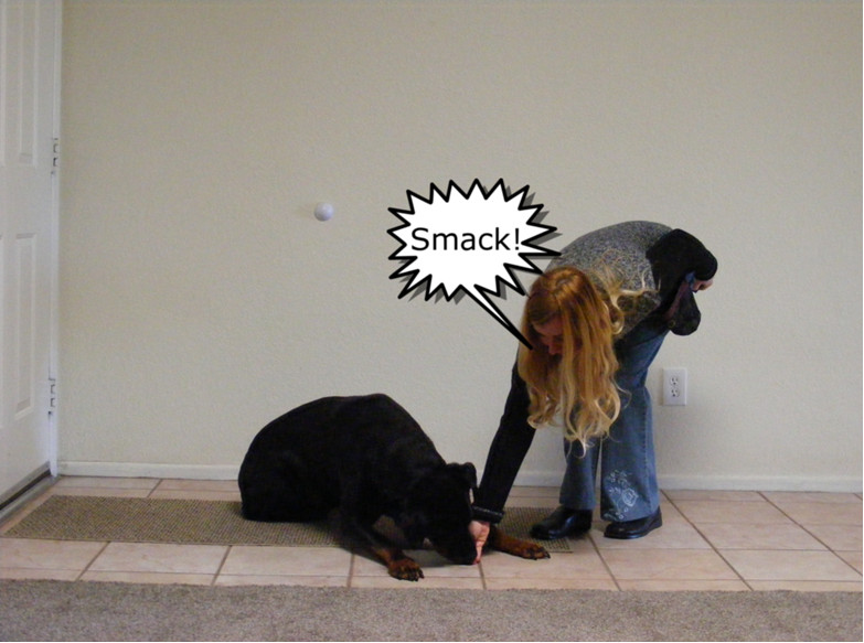 The Smacking Sound - Brain Training for Dogs